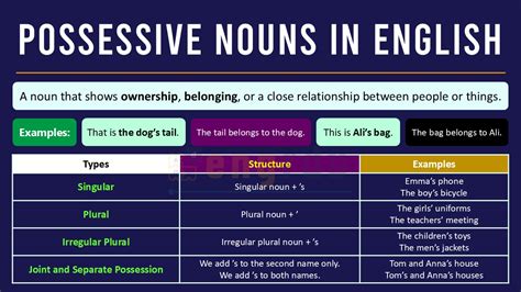 Possessive Nouns Definition Types Uses And Examples Engrdu