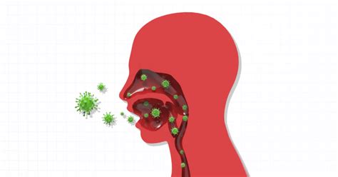 Airborne Particles And The Lungs An Overview 2025