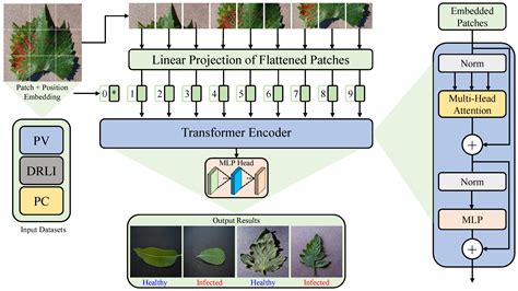 Visual Intelligence In Precision Agriculture Exploring Plant Disease Detection Via Efficient