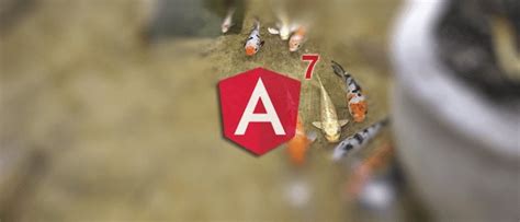 Angular 7 Tutorial Building Crud Web Application Rlearnjavascript