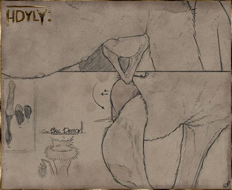 Rule 34 2025 Absurd Res All Fours Animal Genitalia Animal Penis