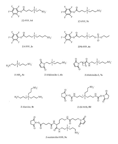 Zwitterionic Reagents Eureka Patsnap