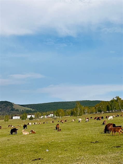 Бөмбөгөр Сууц Соронз Төв Added Бөмбөгөр Сууц Соронз Төв