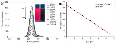 An Amidochlorin Based Colorimetric Fluorescent Probe For Selective Cu2 Detection