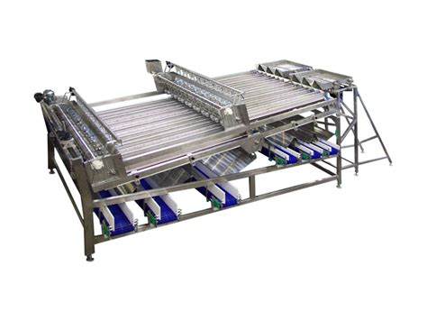 Km 1191 Roller Grader Easy Shrimp Grading Carsoe Km 1191 Roller Grader Easy Shrimp Grading Carsoe