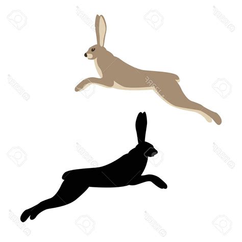 Hare Vector At Collection Of Hare Vector Free For Personal Use