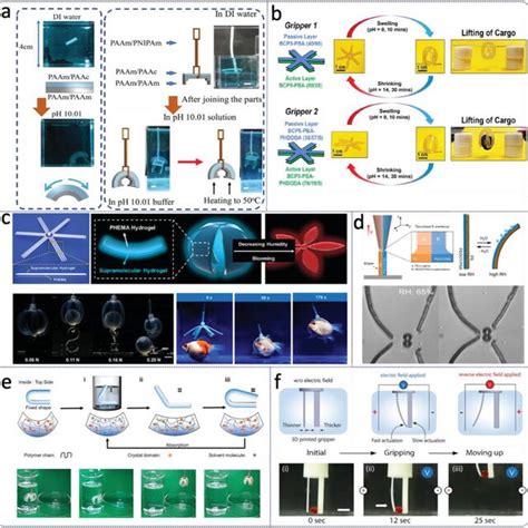 3d‐printed Electricity Stimulated Gripper A A Thin Layer Of Ionic Download Scientific Diagram