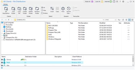 The File Distribution Window