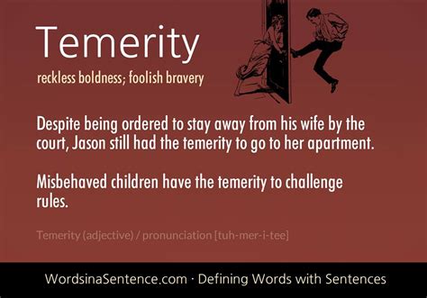Temerity Definition