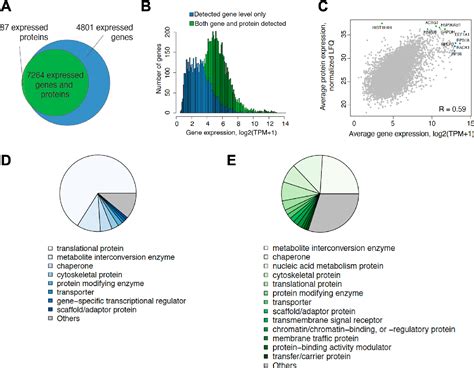 Figure 2 From Comparative Proteomic And Transcriptomic Analysis Of The Impact Of Androgen