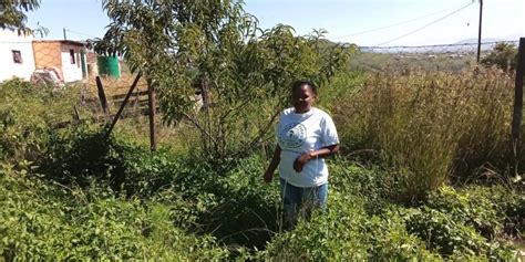 We Need More Trees To Fight Climate Change But In The Right Places