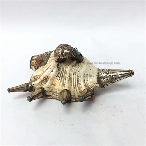 White Metal Conch Shell Price Us 80 Conch Shell Metal Setting