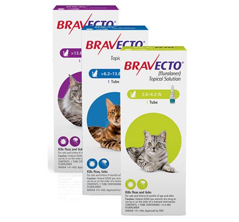 Bravecto® Topical For Cats 12 Week Protection Lovingston Veterinary Hospital