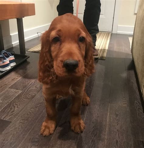 Throwback To When We Both Could Effortlessly Be Lifted 😊 Throwback