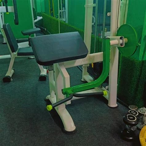 Bicep Curl Machine 220 Model Name Number Maxx Power At Rs 35000 In Meerut