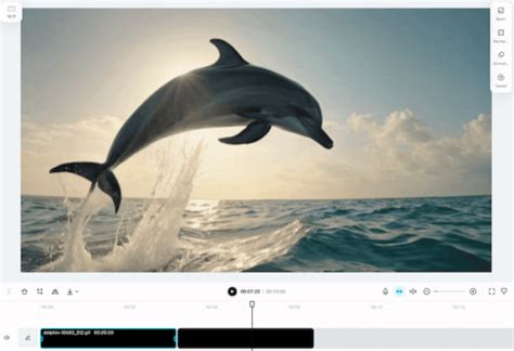 How To Batch Convert Animated GIF To On Mac Or Windows Itselectable