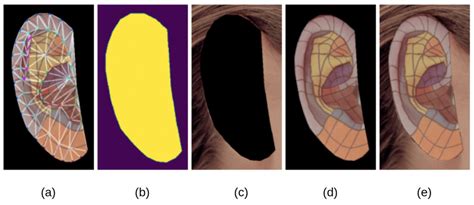 Ear Morphing And Alpha Blending 1 Result M After Morphology With