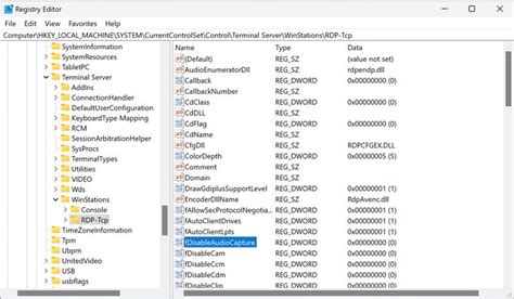 Fix Microphone Not Working In Remote Desktop Session