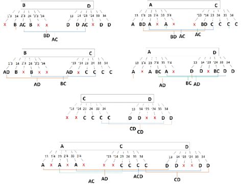a 1 step expansion of an execution tree for each generated pair and download scientific diagram