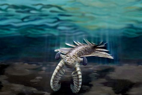 Fossil Fra Et Havmonster Forbløffer Forskere Illvid Dk