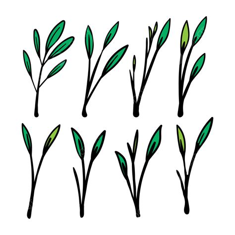 Realistic Leaf Sketch Vector Leaf Sketch Realistic Png And Vector