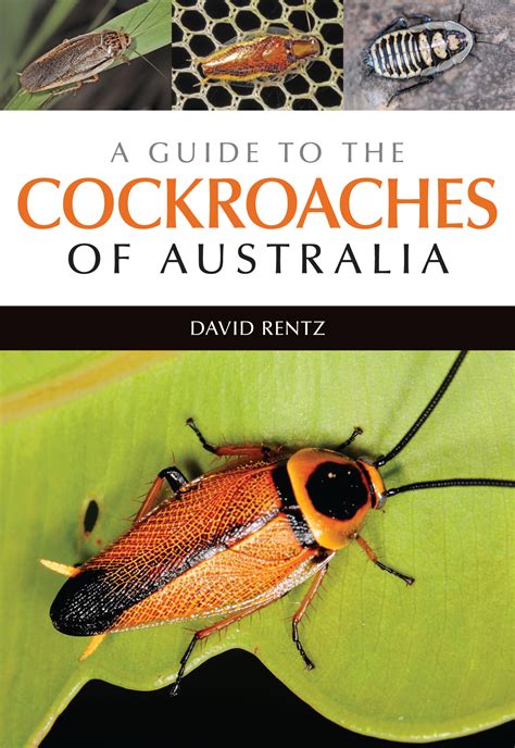 Book Review A Guide To The Cockroaches Of Australia Nature Books
