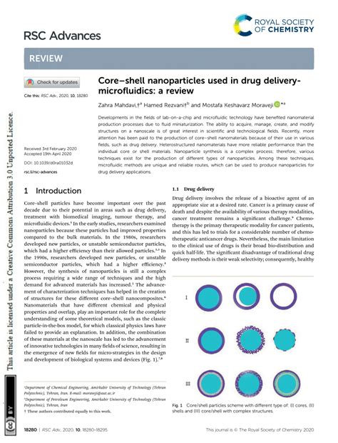 Pdf Core Shell Nanoparticles Used In Drug Delivery Microfluidics A Review