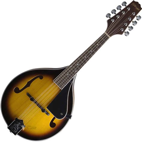 AROMA INSTITUTE OF MUSIC STRING INSTRUMENTS