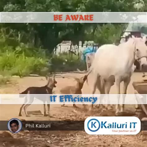 Phil Kalluri On Linkedin Itefficiency Businessproductivity Itsupport Smallbusiness