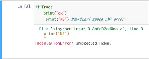 Python 기초 문법주석 Indent Hongs Blog
