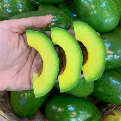 Bơ Boot Dẻo Ngọt Thơm Ngon