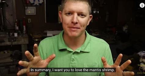 The Mantis Shrimp Album On Imgur