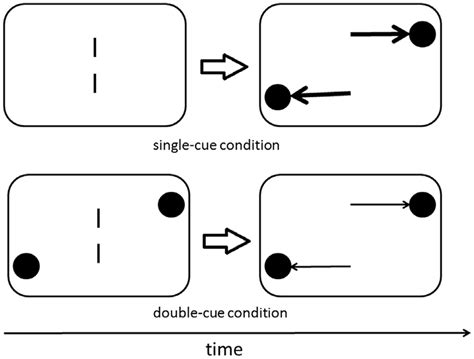 Differential Magnitudes Of Attentional Shifts In Single Cue And