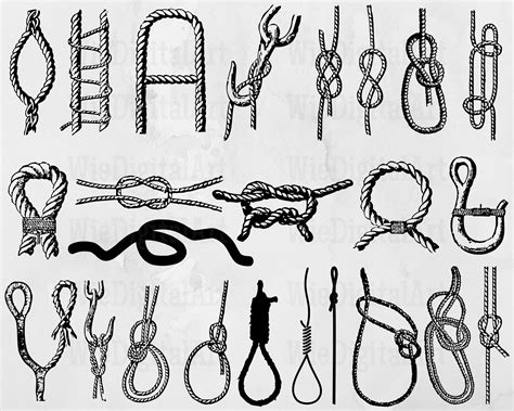 Rope Tattoo Rope Drawing Cow Clipart Survival Knots Car Silhouette