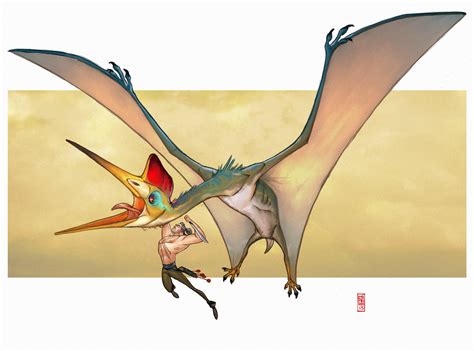 Quetzalcoatlus By Camarasketch On Deviantart
