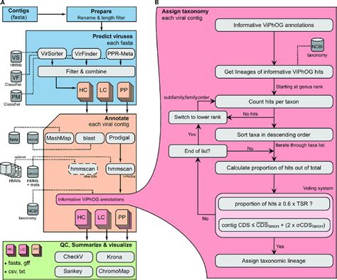 overview of the virify pipeline a starting from a set of contigs
