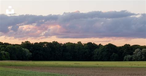 낮 동안 흰 구름 아래 푸른 나무 근처의 푸른 잔디 밭 사진 Unsplash의 무료 일드프랑스 이미지