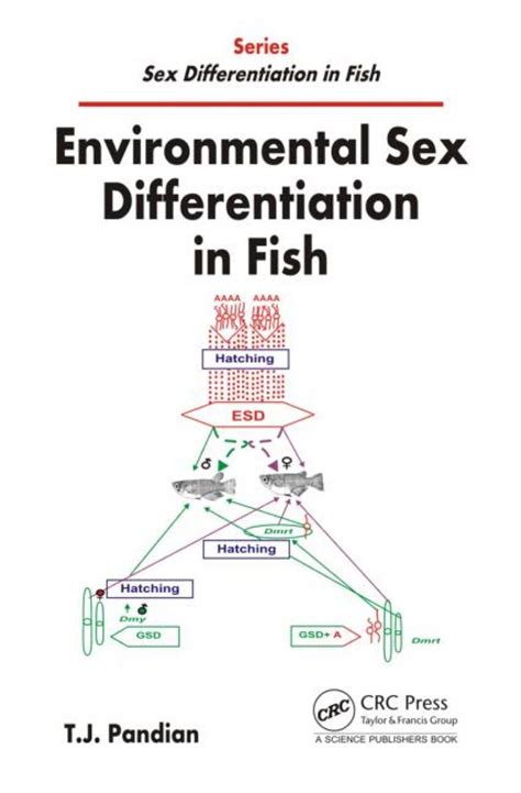 Environmental Sex Differentiation In Fish NHBS Academic Professional Books