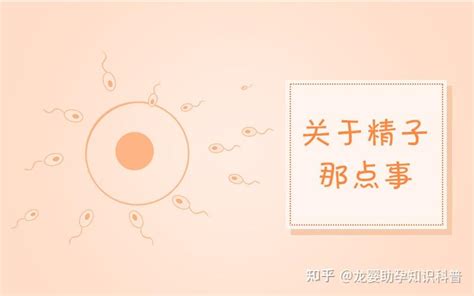 弱精、少精、无精、死精、不液化、畸形？别怕，看这篇！ 知乎