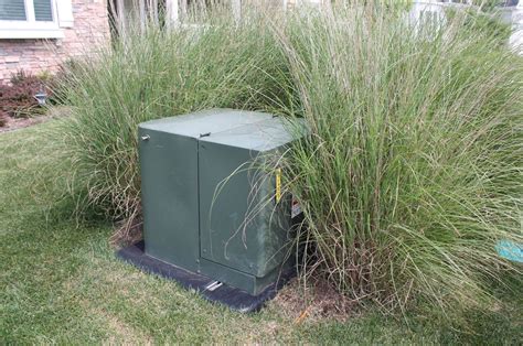 Can You Plant Around Electrical Box At Daniel Pomeroy Blog