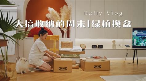 I人的满分周末 开箱收纳好物 大型绿植换盆 Youtube