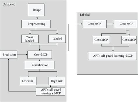 Overall Framework Of Semisupervised Associative Learning Download Scientific Diagram