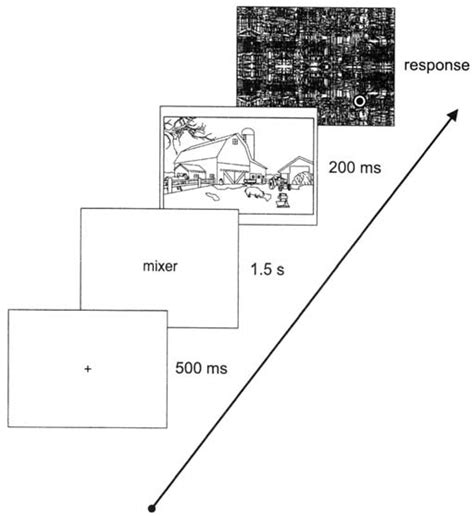 Schematic Illustration Of A Trial In Experiment 1 Download