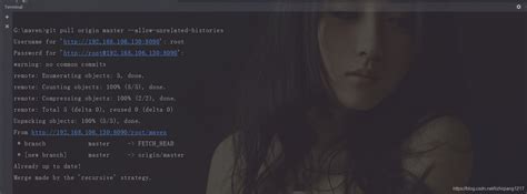 Idea中push Rejected Csdn博客