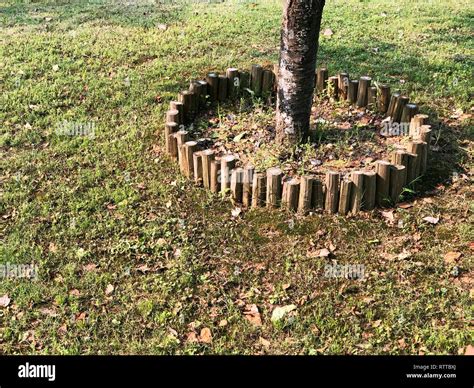 Tree Trunk Fence Hi Res Stock Photography And Images Alamy