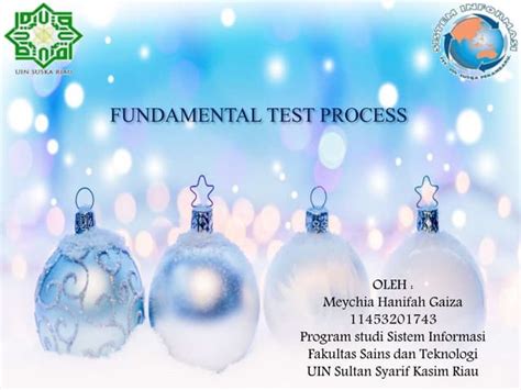Fundamental Test Process Ppt