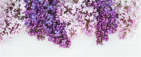 Borda De Flores Lilás Flores Roxas E Rosa Tamanho De Banner Grande