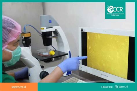 Digital Capable Inverted Light Microscope Stem Cell And Cancer Research