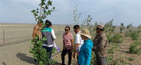 Аймгийн ХХААГ Үйлдвэрлэл худалдаа үйлчилгээний албаны дарга О Мөнгөнчимэг Номгон сумын
