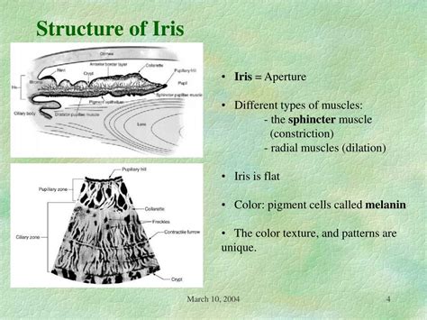 Ppt Iris Recognition Powerpoint Presentation Free Download Id389039